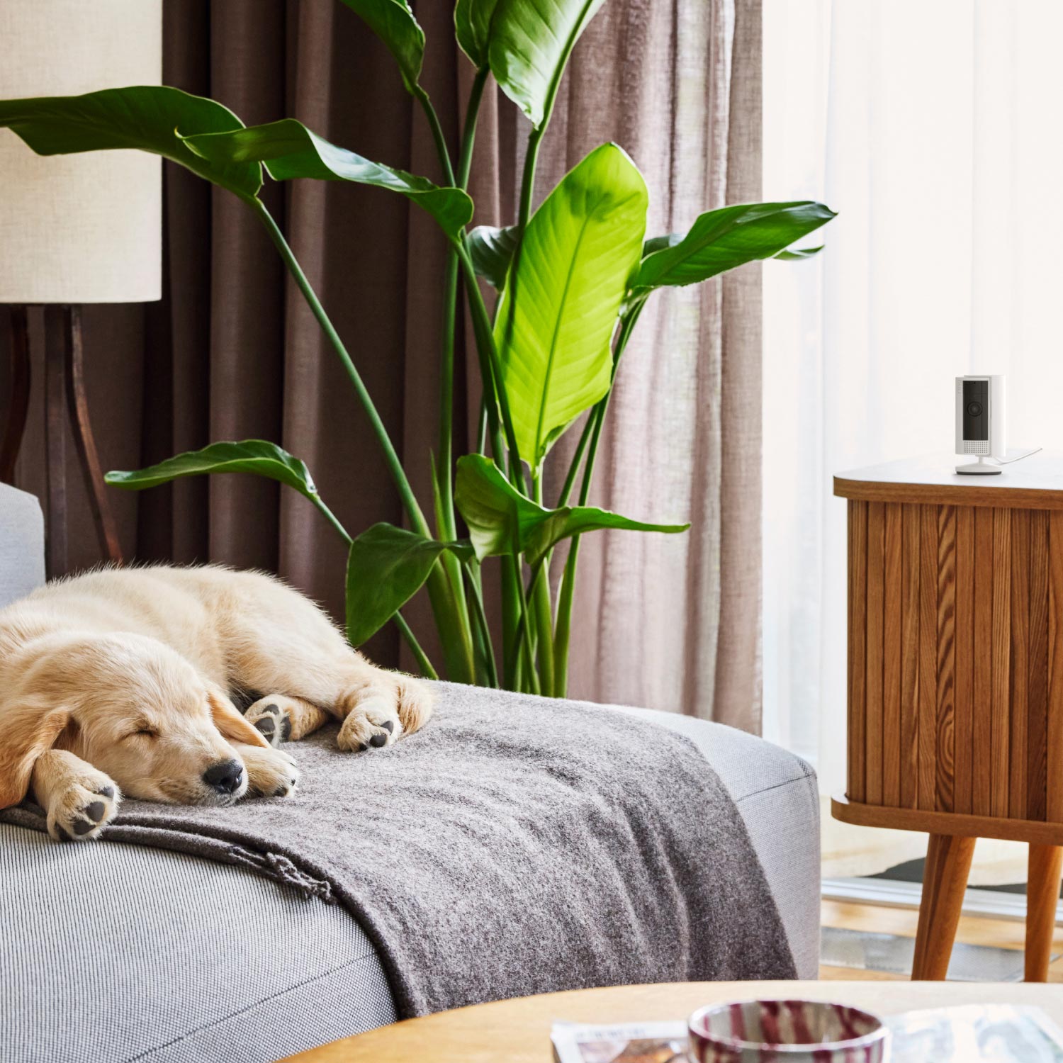 Indoor Camera 2nd Gen + 3m USB-A to Micro USB Power Cable – Ring